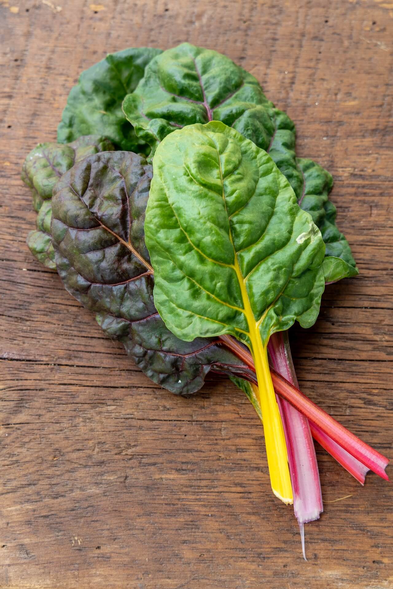 5 recetas con acelgas »【Blogdemoda.es】